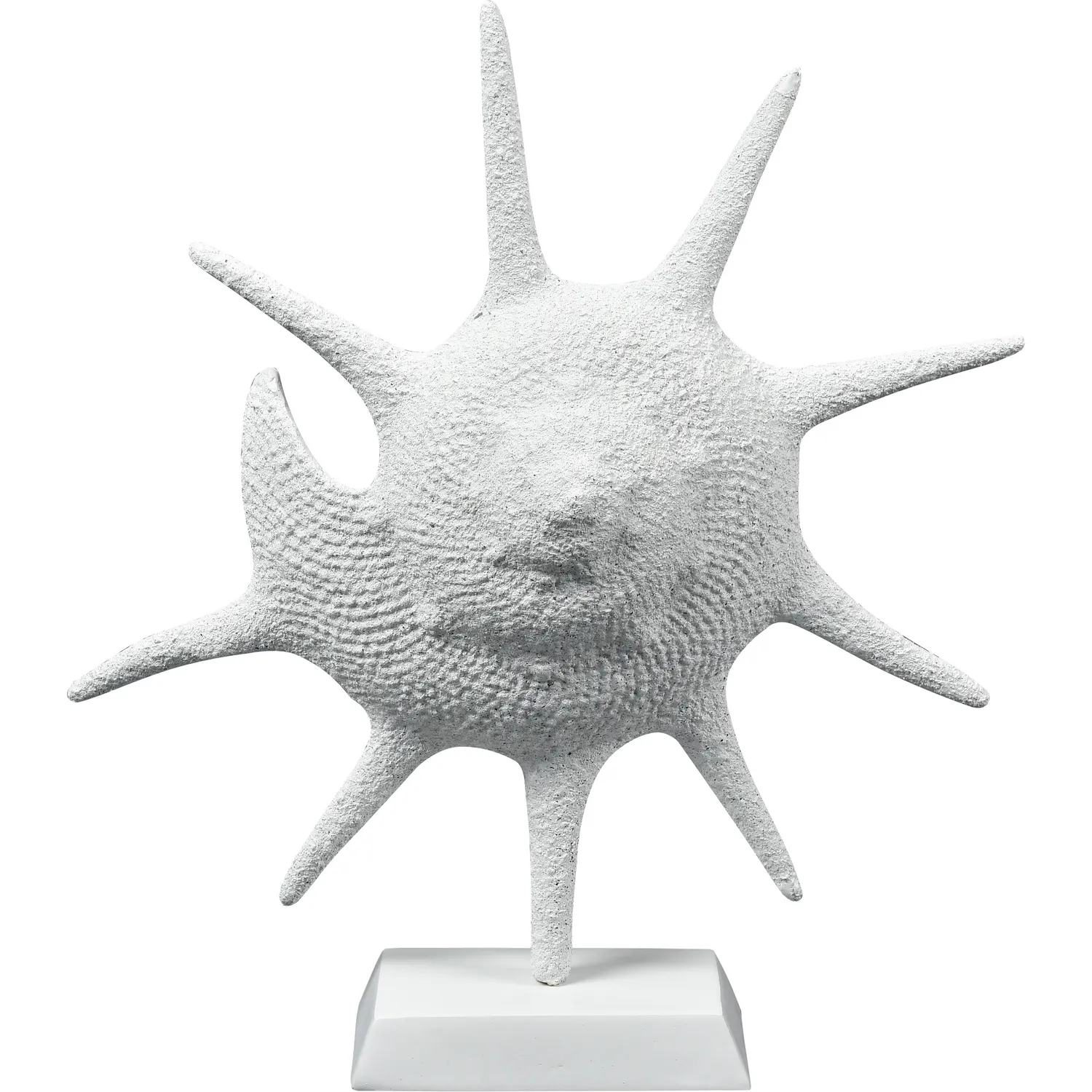 Atlas AC11461-01 Marco Shell in Textured White Resin