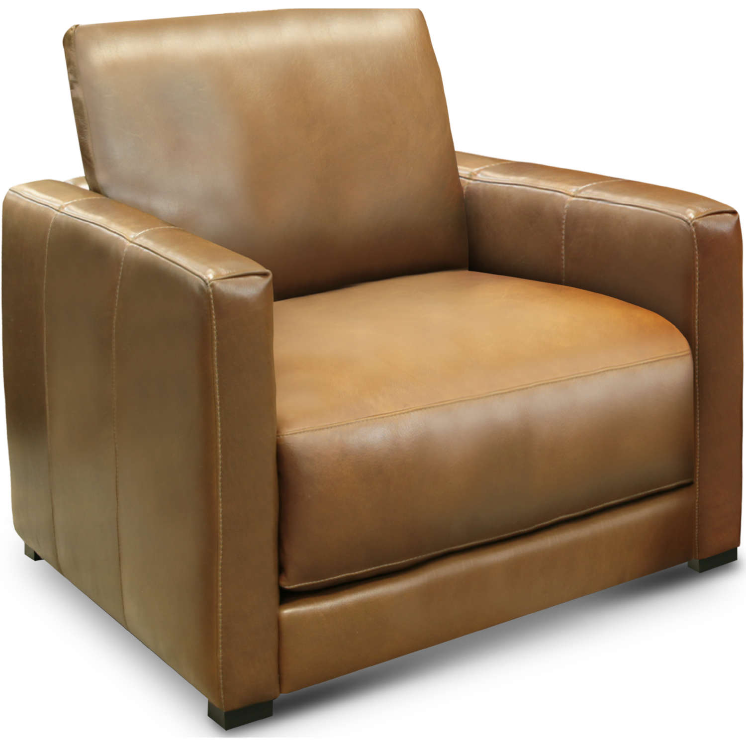 GTR GTRX14-10-Bravo-Bronze Raffa Accent Chair in Bravo Bronze Top Grain ...