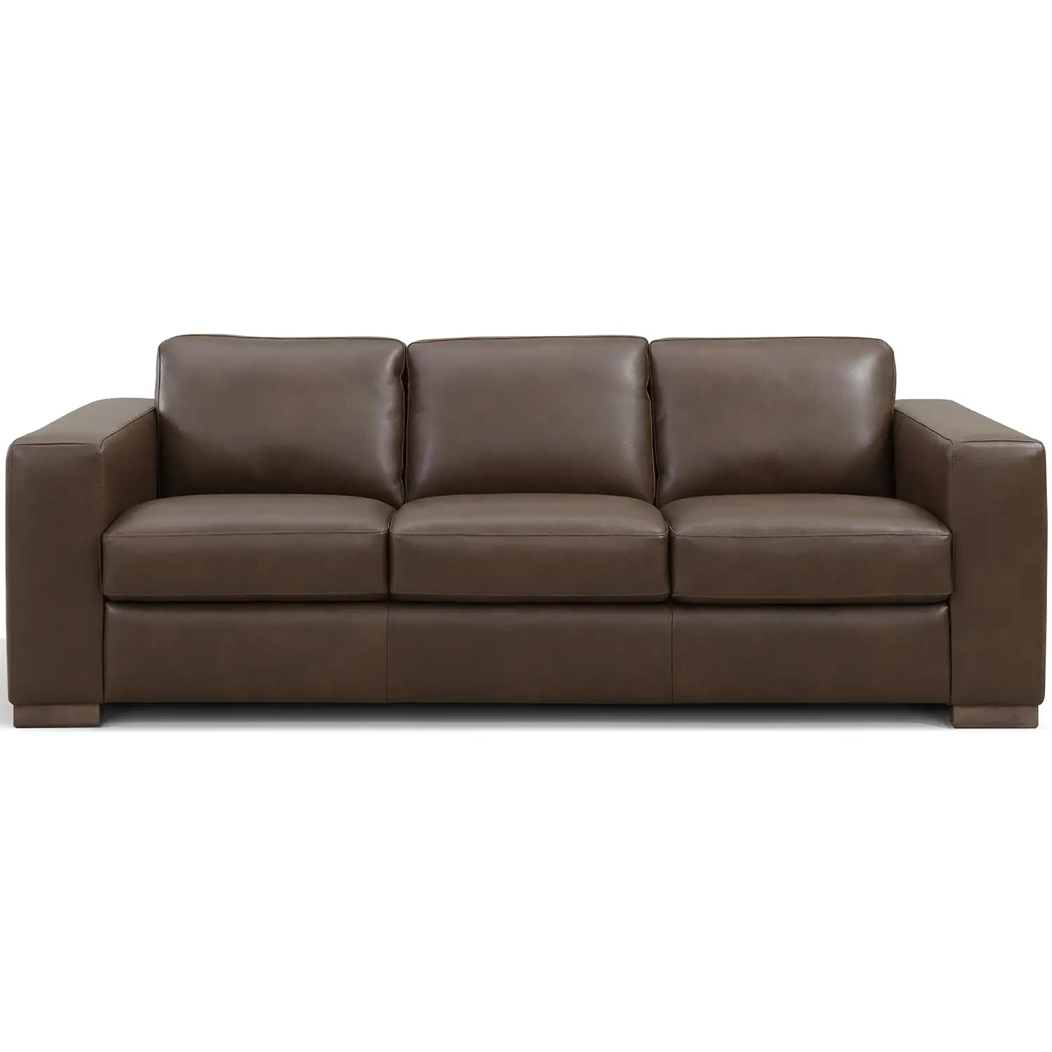 Leather Italia 1020-2014QSLP-03B5801A Inglewood Sofa Queen Sleeper in ...