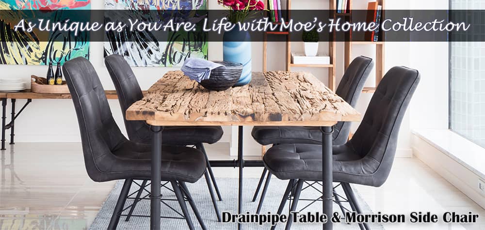 Furniture, Lighting, & Home Decor. Free Shipping & Great Service!